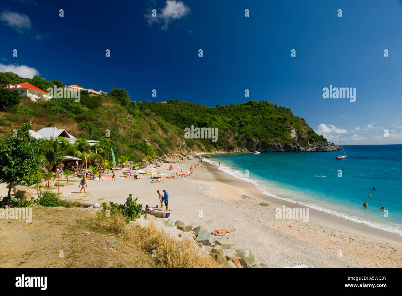 Shell beach french west indies hi-res stock photography and images - Alamy