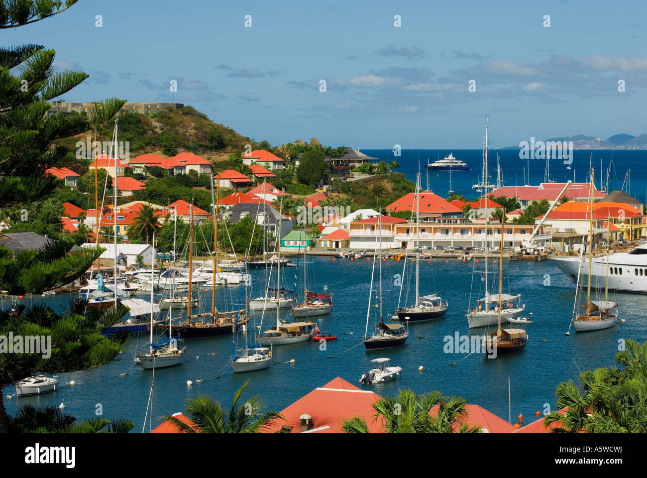 Gustavia harbour St. Barths Stock Photo - Alamy