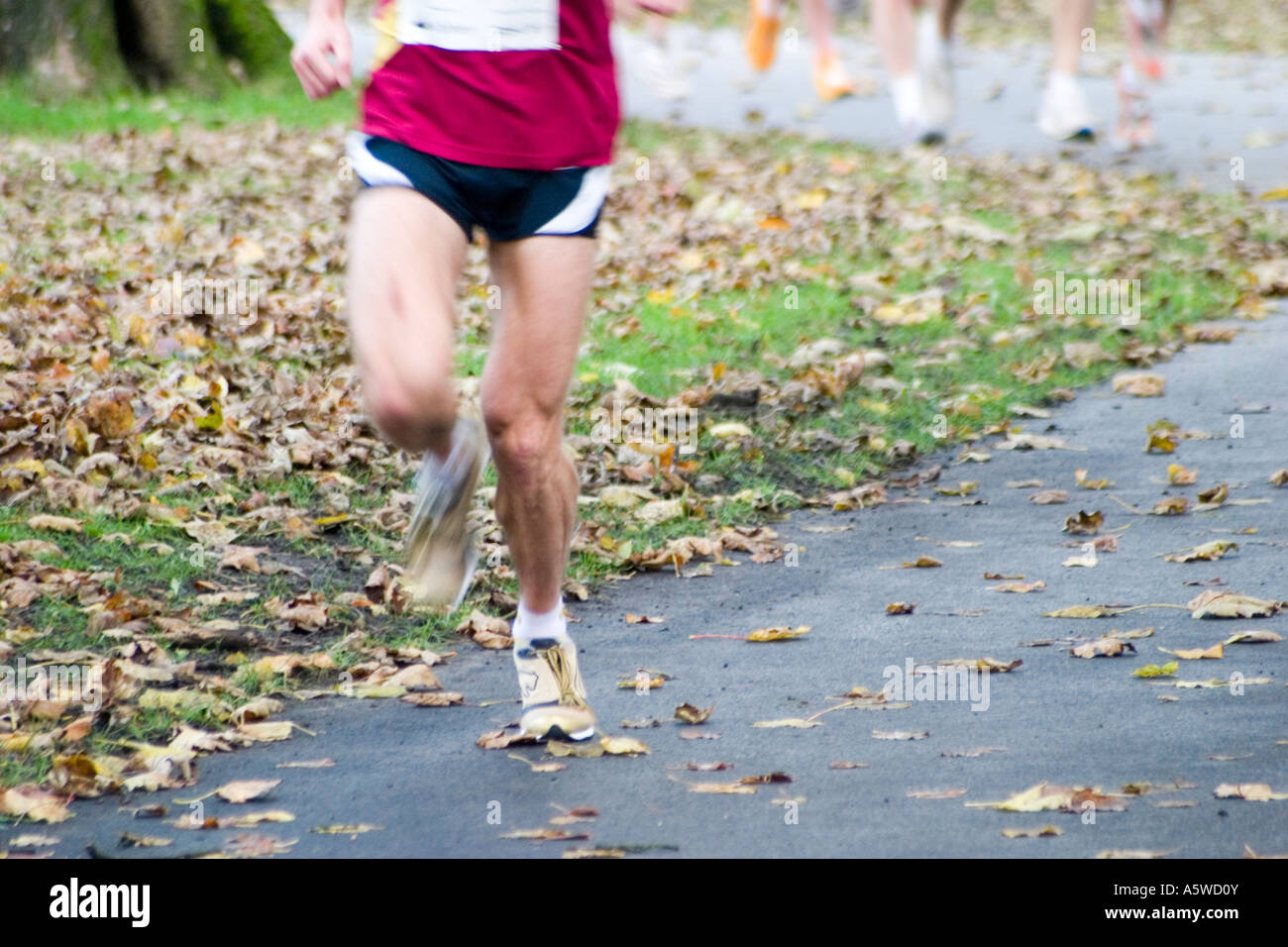 Marathon Runners Legs running Stock Photo - Alamy
