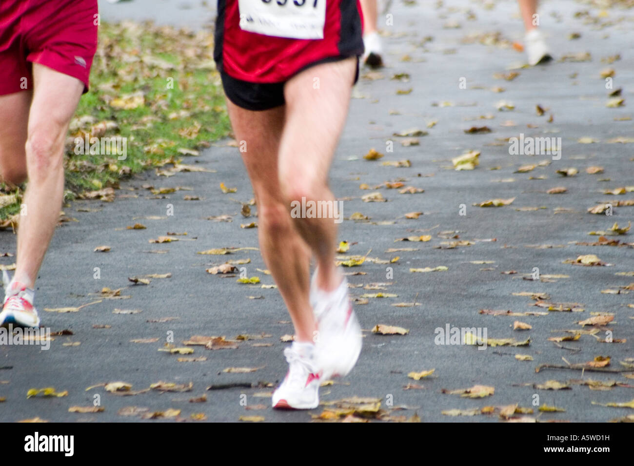 Marathon Runners Legs running Stock Photo - Alamy