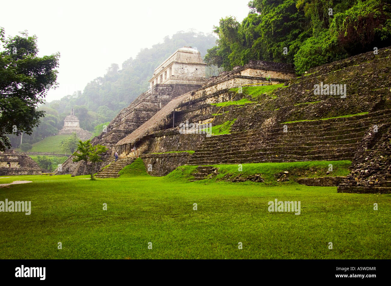 Palenque / Temple Stock Photo - Alamy