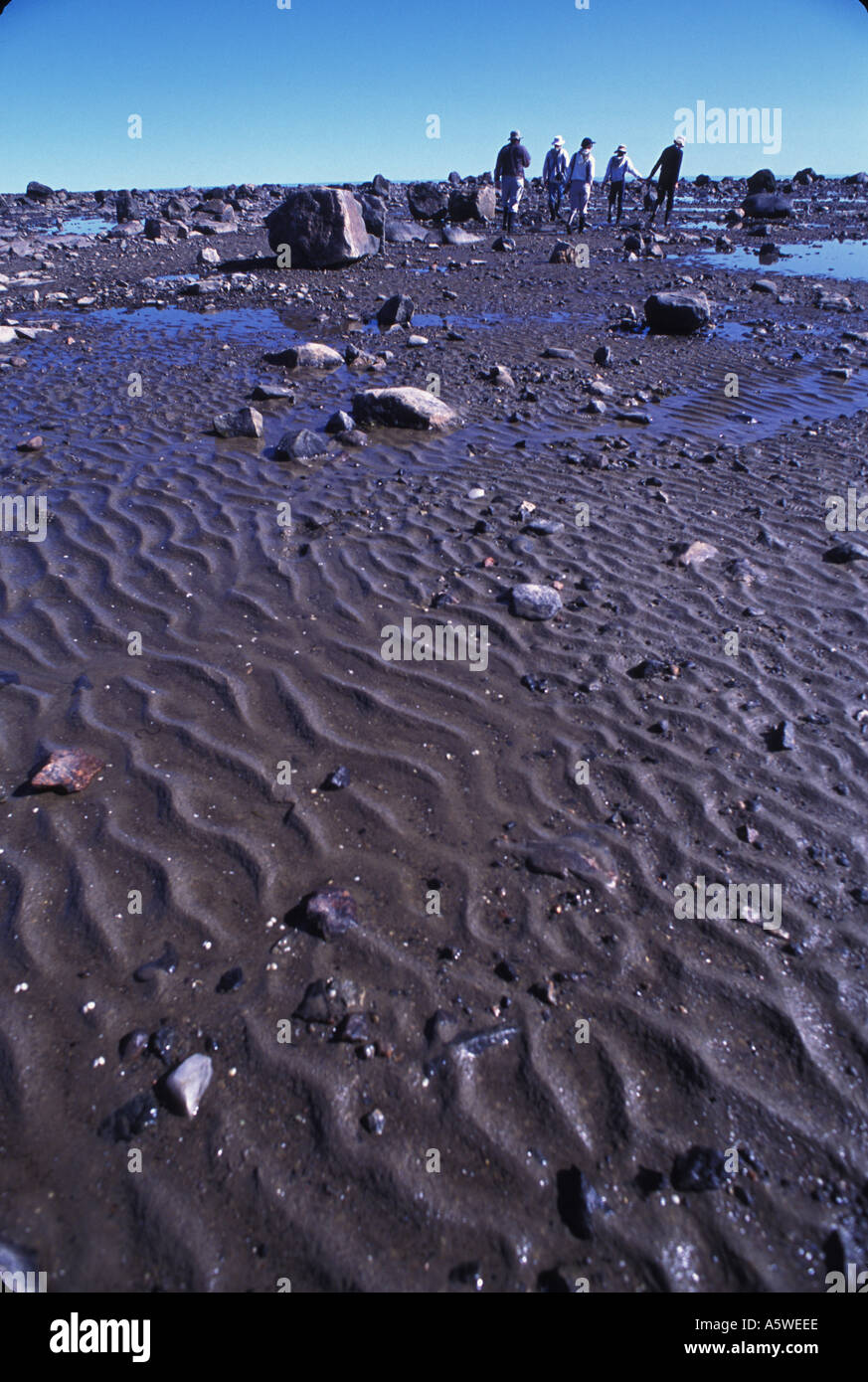 Tourists exploring tidal planes Tundra Ecosystem Taiga Hudson Bay ...