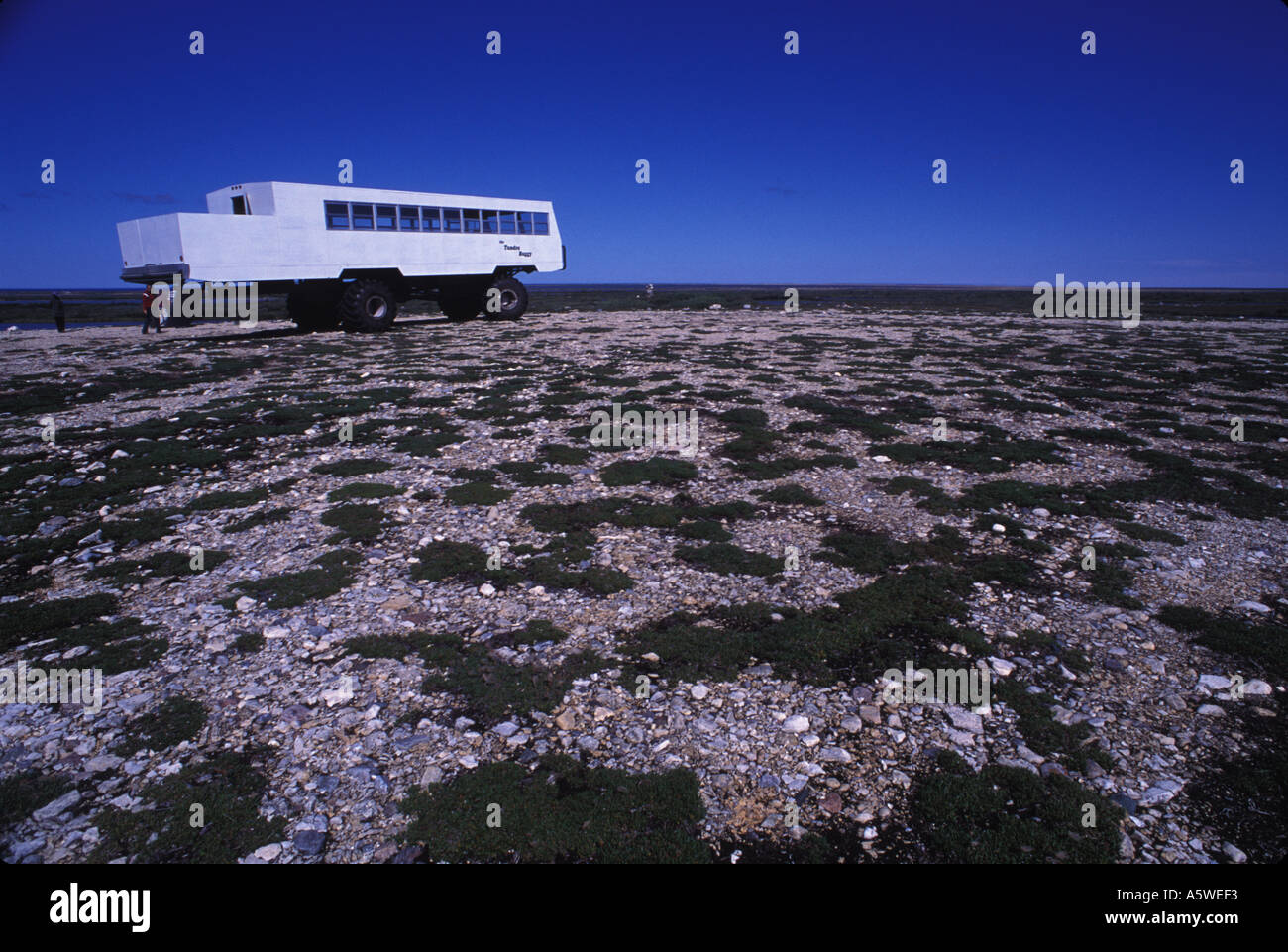 Tundra Buggy Ecotourism Hudson Bay Churchill Manitoba Northern Canada ...