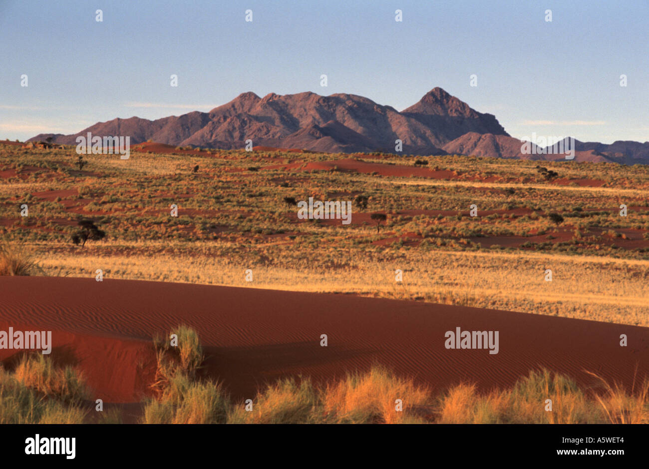 Namibian desert at dawn Stock Photo - Alamy