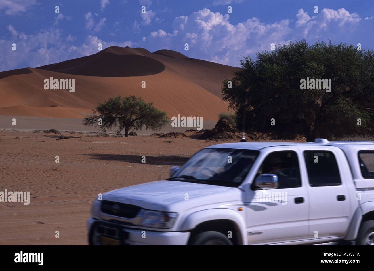 Safari in the Namibian desert Stock Photo - Alamy