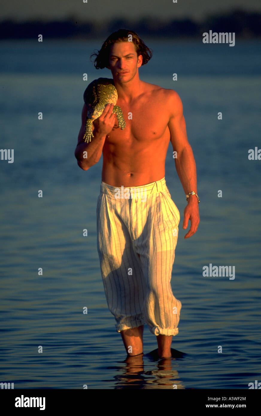 Nile genus hi-res stock photography and images - Alamy