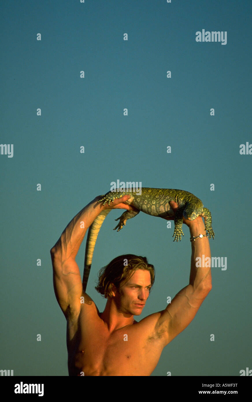 Roughneck monitor lizard hi-res stock photography and images - Alamy