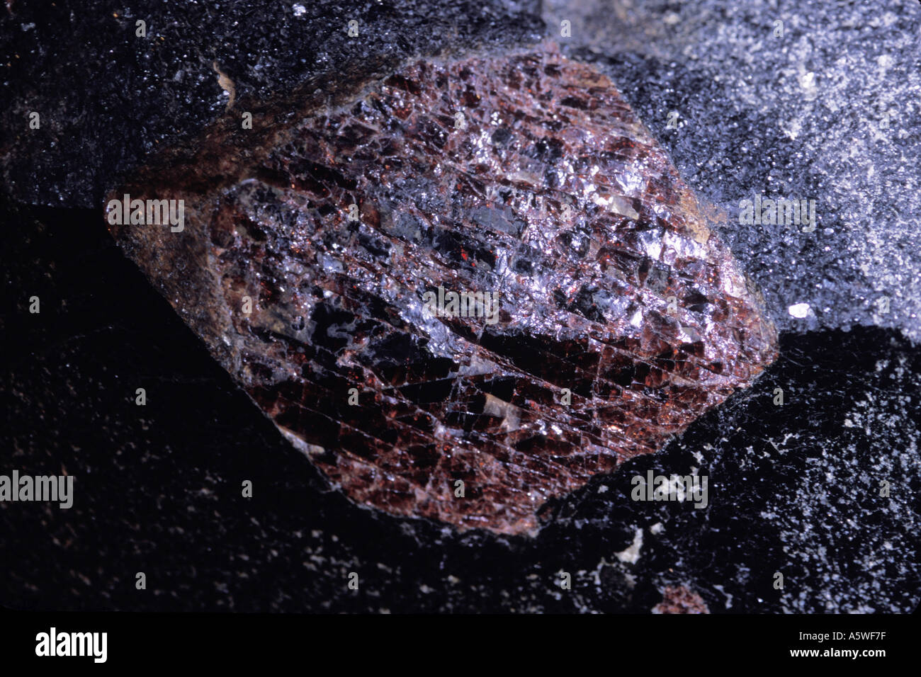 Gore Mountain Garnet Adirondacks United States mineral rock earth ...