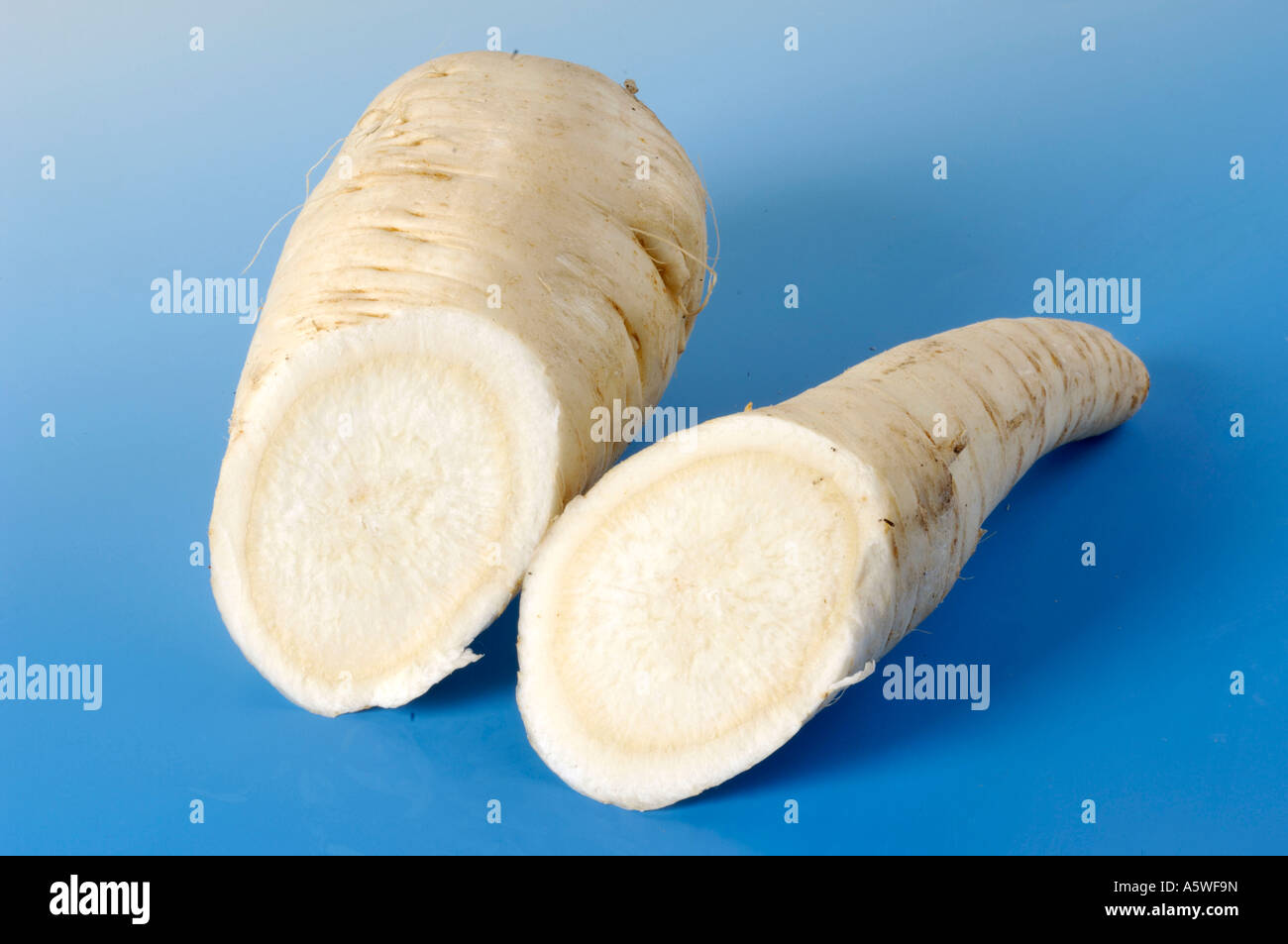 Parsley root cut out hi-res stock photography and images - Alamy