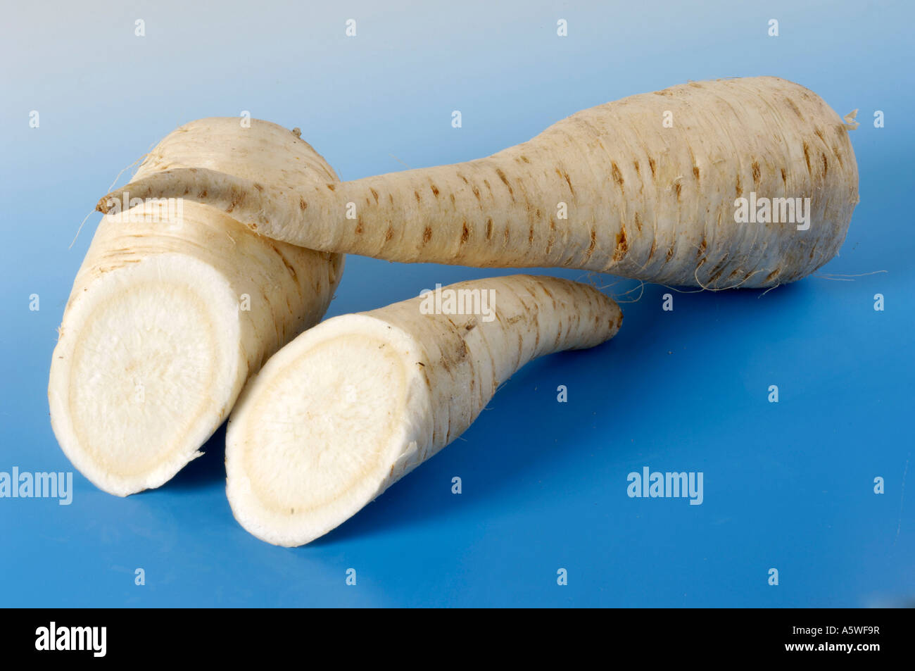 Parsley root Stock Photo - Alamy