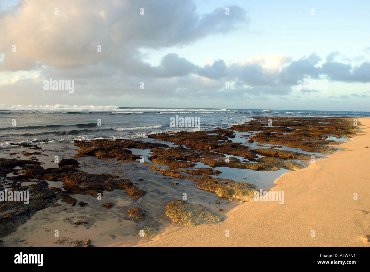 Volcanic reef Sunset Beach North Shore Oahu Hawaii USA Stock Photo - Alamy