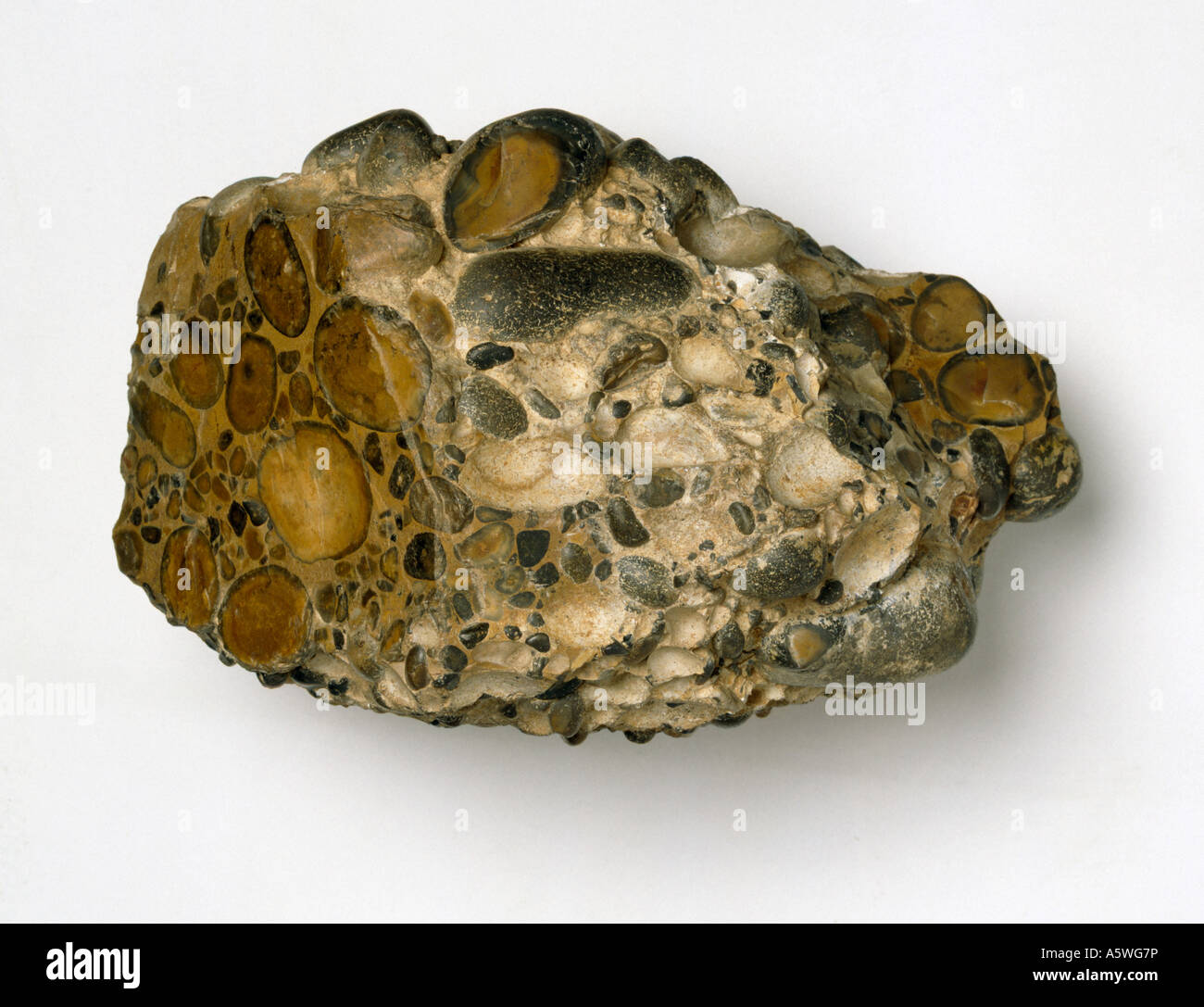 Puddingstone hi-res stock photography and images - Alamy