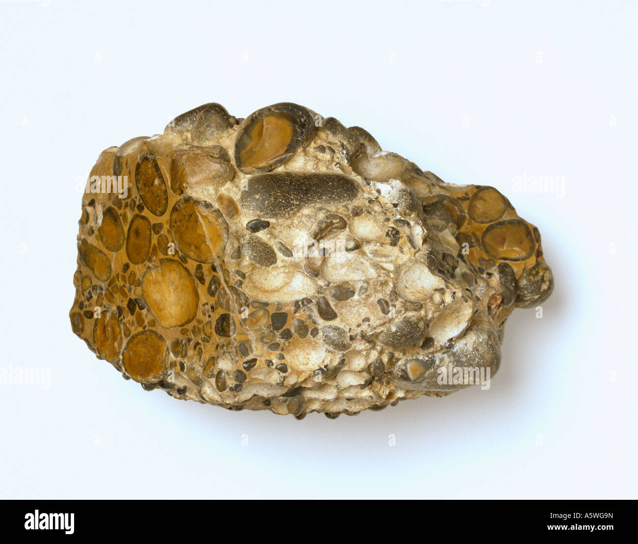 Puddingstone hi-res stock photography and images - Alamy
