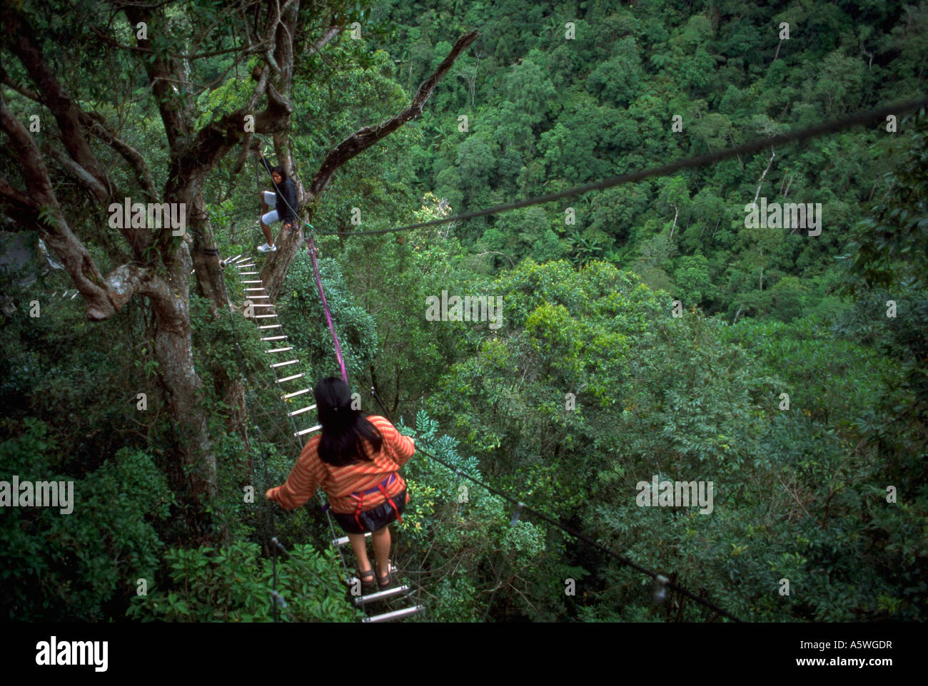 Canopy walking hi-res stock photography and images - Alamy