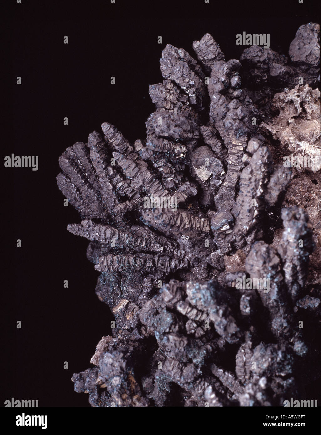 Bornite hi-res stock photography and images - Alamy