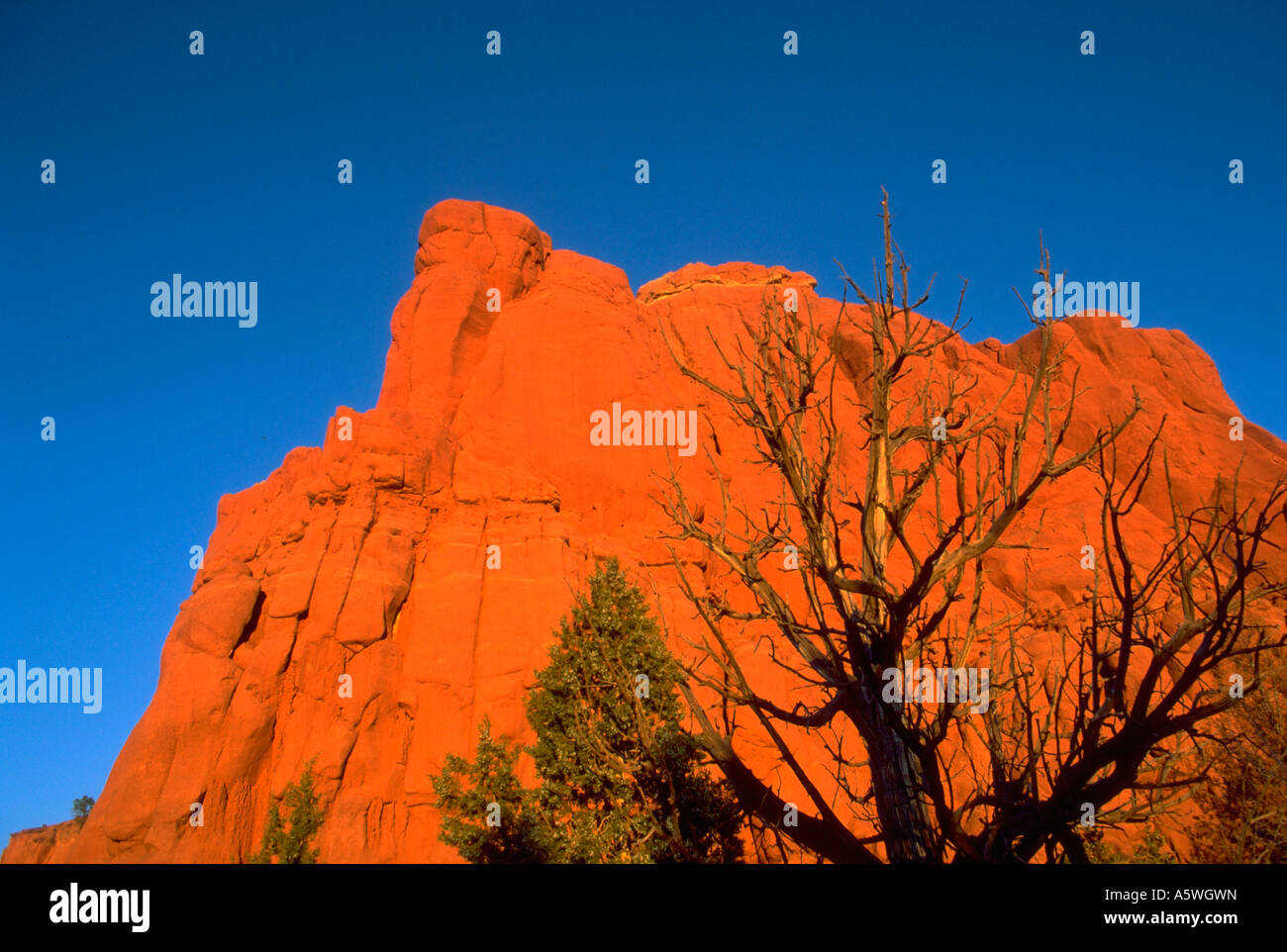 Geology conformation hi-res stock photography and images - Alamy