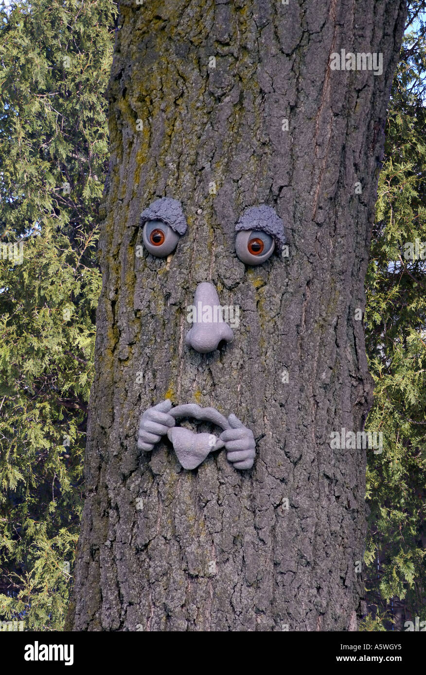 Ghoulish Goblin face on tree trunk sticking out tongue Stock Photo - Alamy