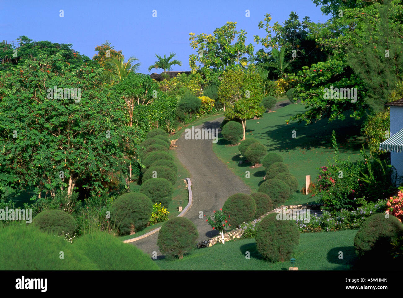 Round Hill And Jamaica High Resolution Stock Photography and Images - Alamy