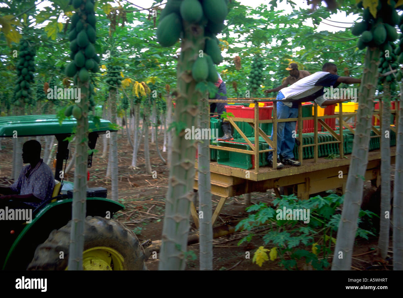 Group of pickers hi-res stock photography and images - Alamy