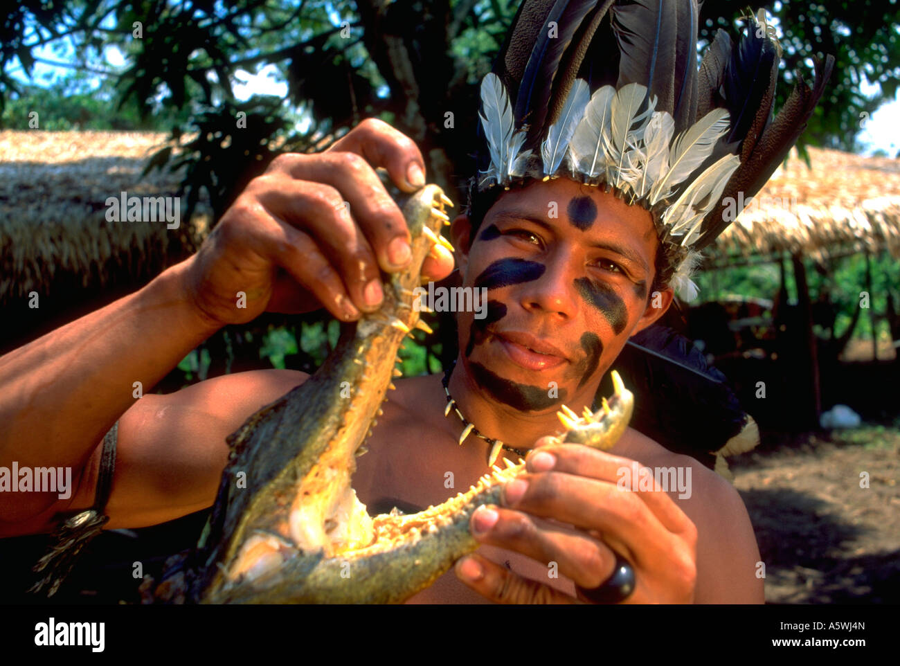 Amazon Tribes Stock Photos & Amazon Tribes Stock Images - Alamy