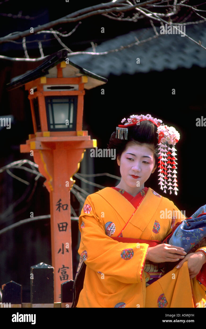 Geisha woman hi-res stock photography and images - Alamy
