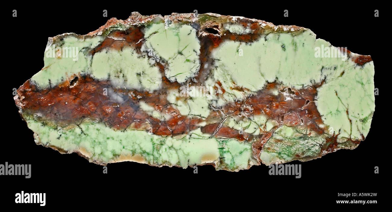 Prase hi-res stock photography and images - Alamy