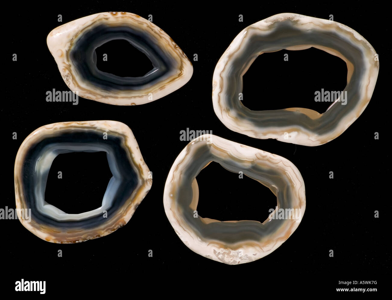 Agate coral hi-res stock photography and images - Alamy