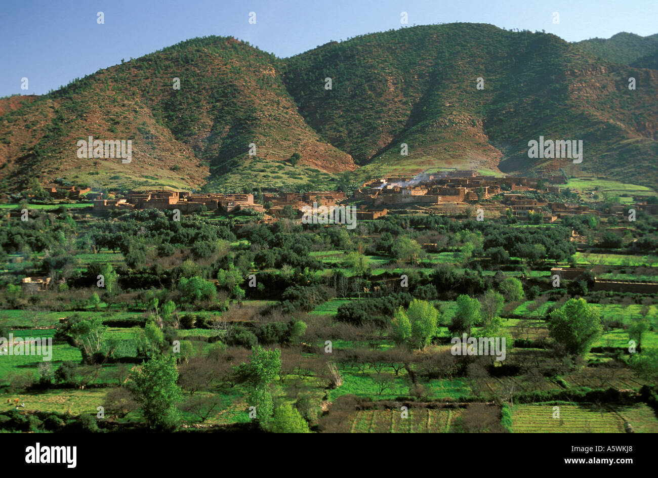 Berber village in the Atlas mountains Stock Photo - Alamy