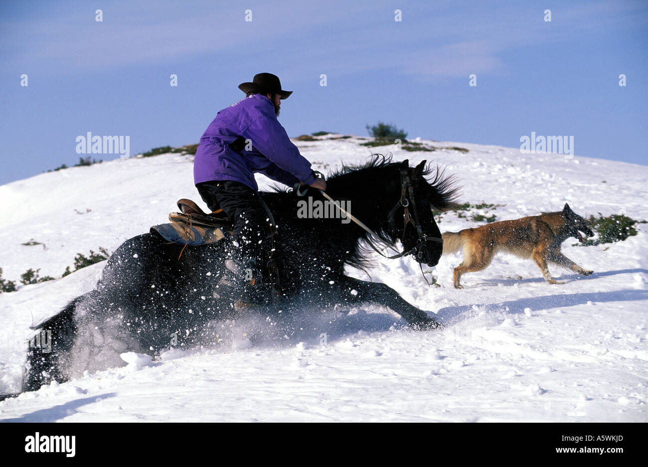 Horseback riding clothes hi-res stock photography and images - Alamy