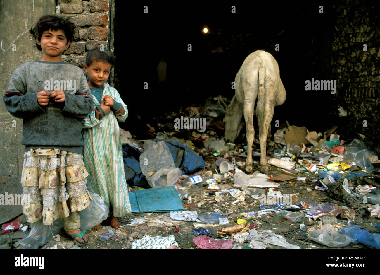 Cairo the old and poor islamic quarter Stock Photo - Alamy
