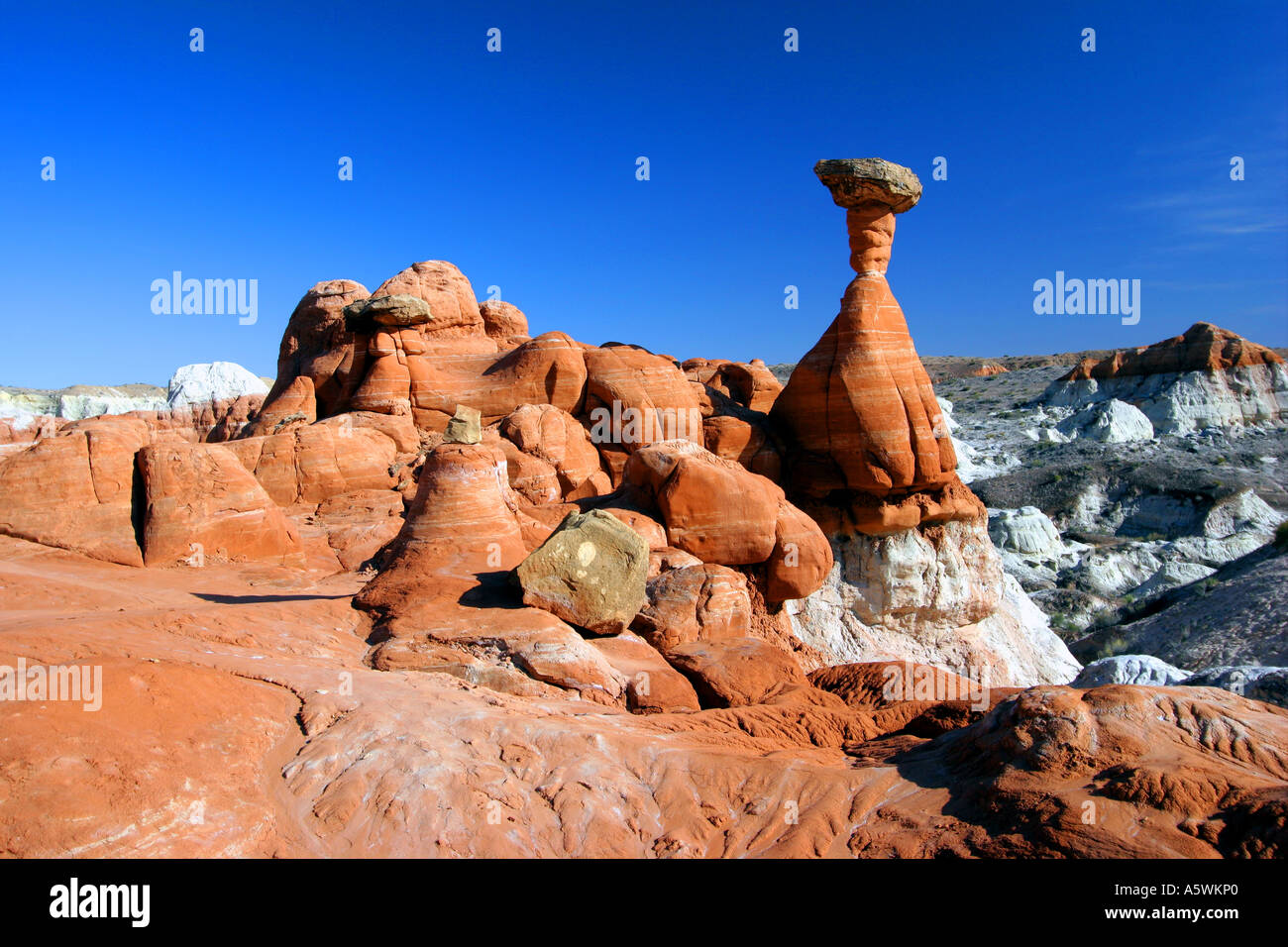 toadstool hoodoo the rimrocks grand staircase escalante national ...