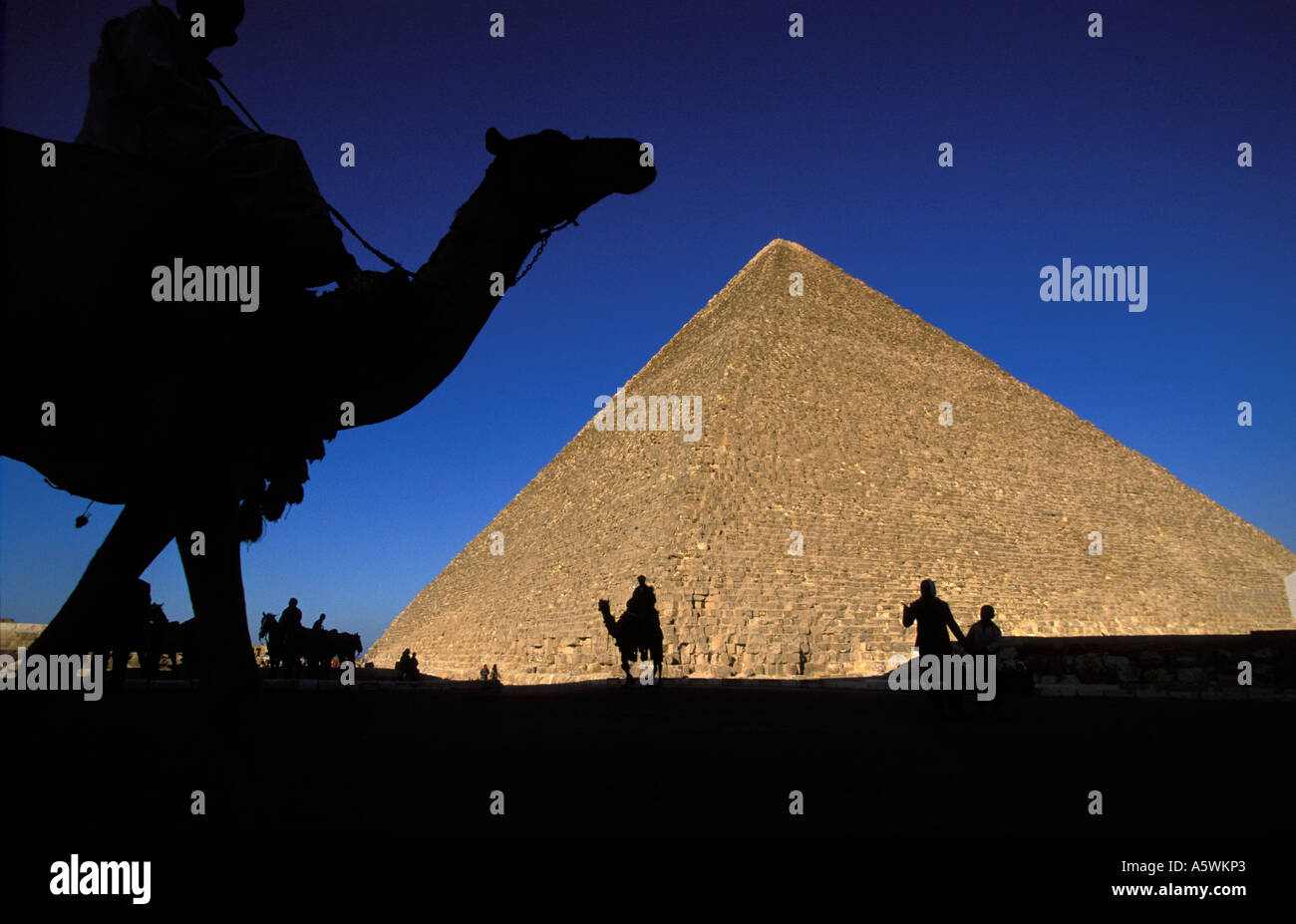 Cairo Giza the pyramid of Cheops Stock Photo - Alamy