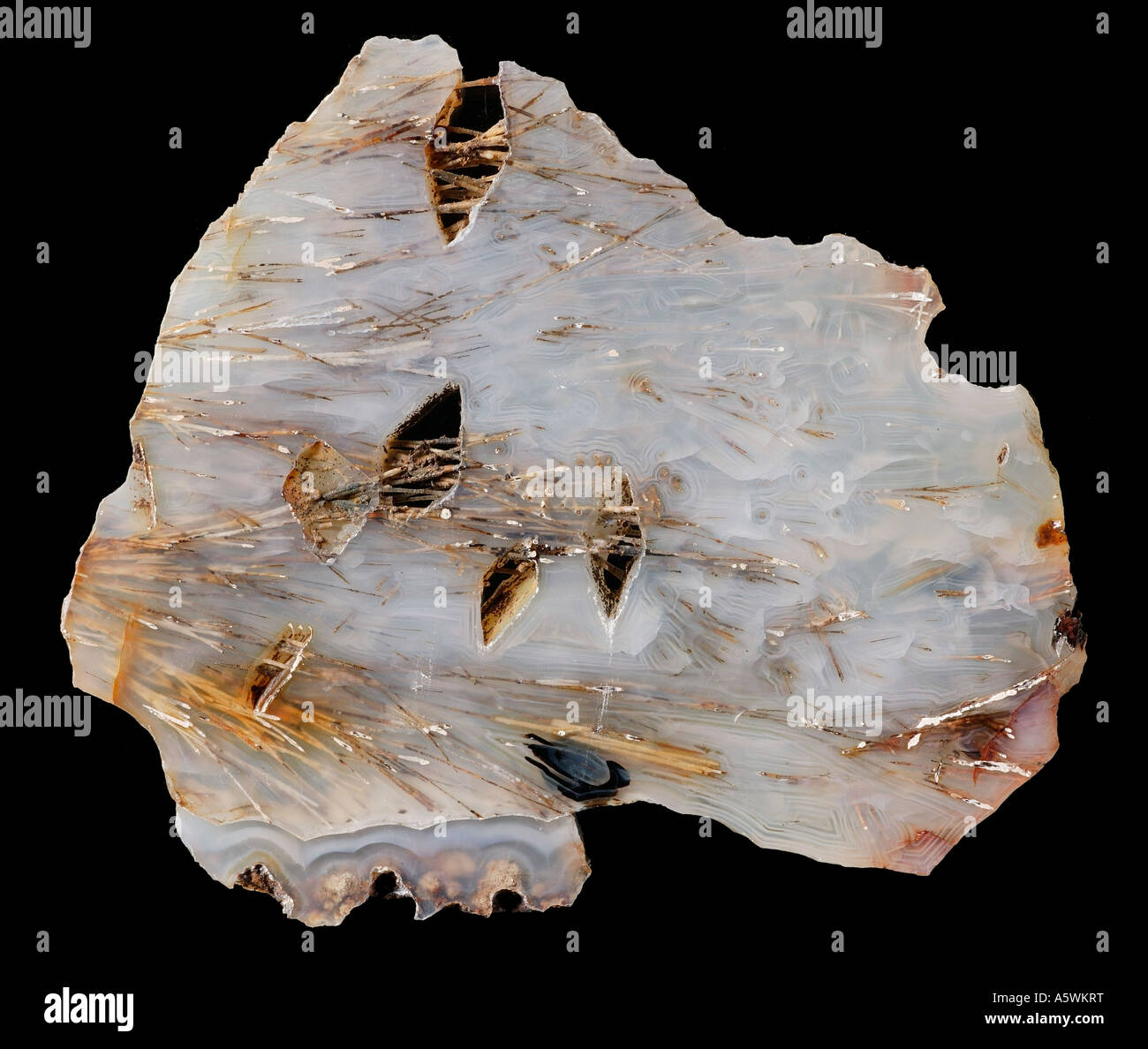 Sagenitic agate hi-res stock photography and images - Alamy