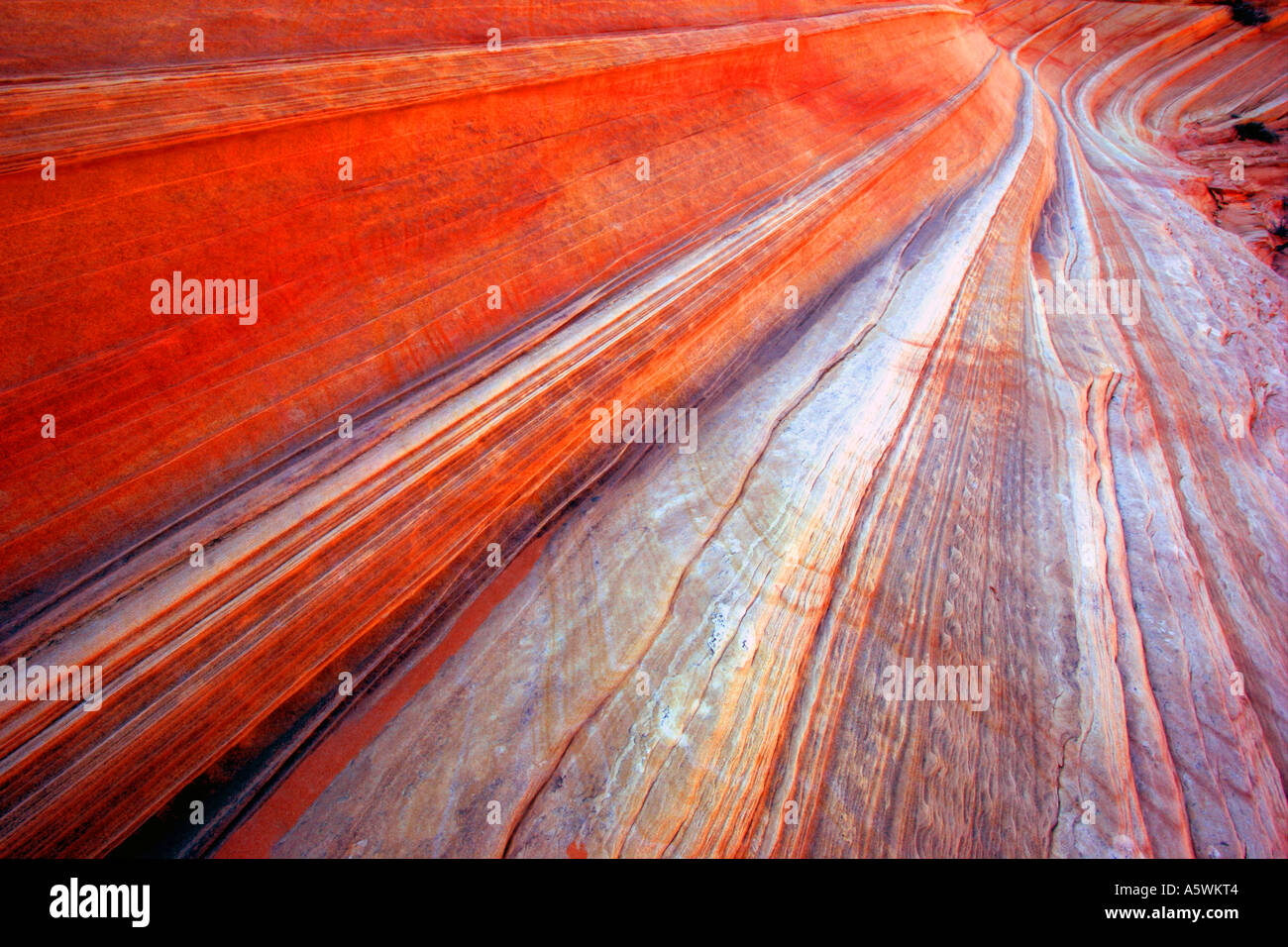 the second wave, coyote buttes north ,arizona Stock Photo - Alamy