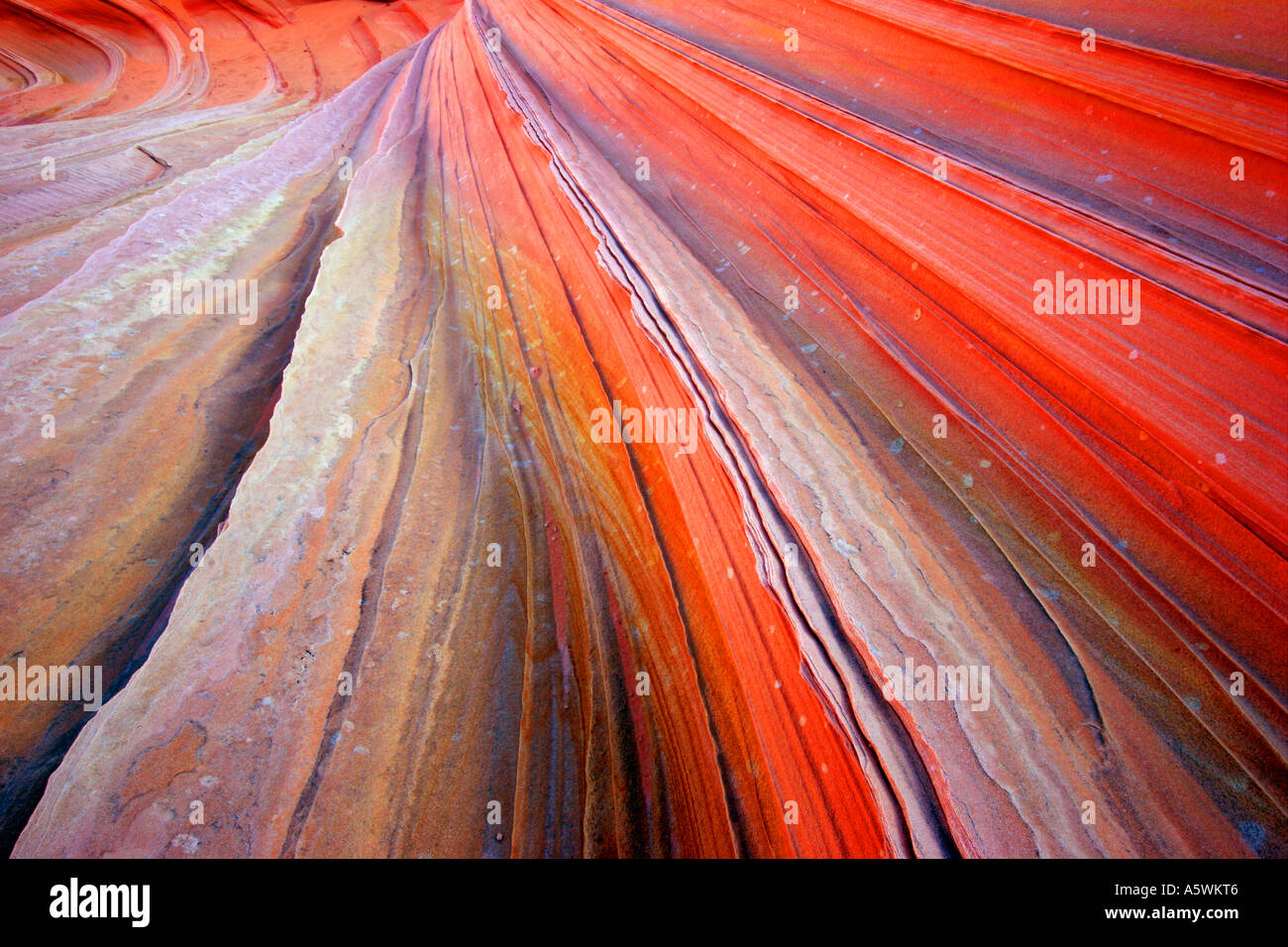 the second wave, coyote buttes north, arizona Stock Photo - Alamy