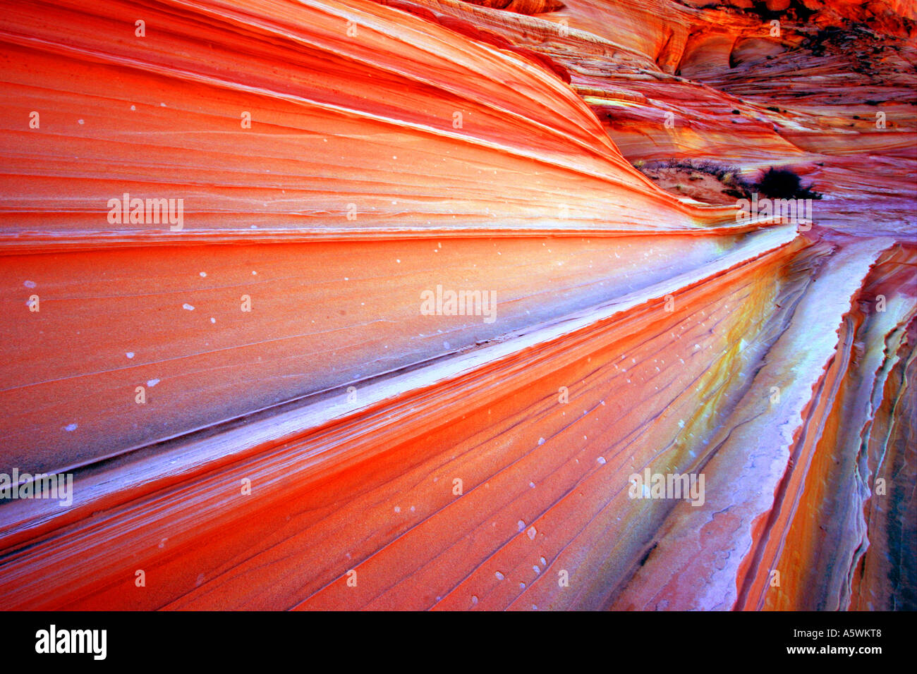the second wave ,coyote buttes north, arizona Stock Photo - Alamy