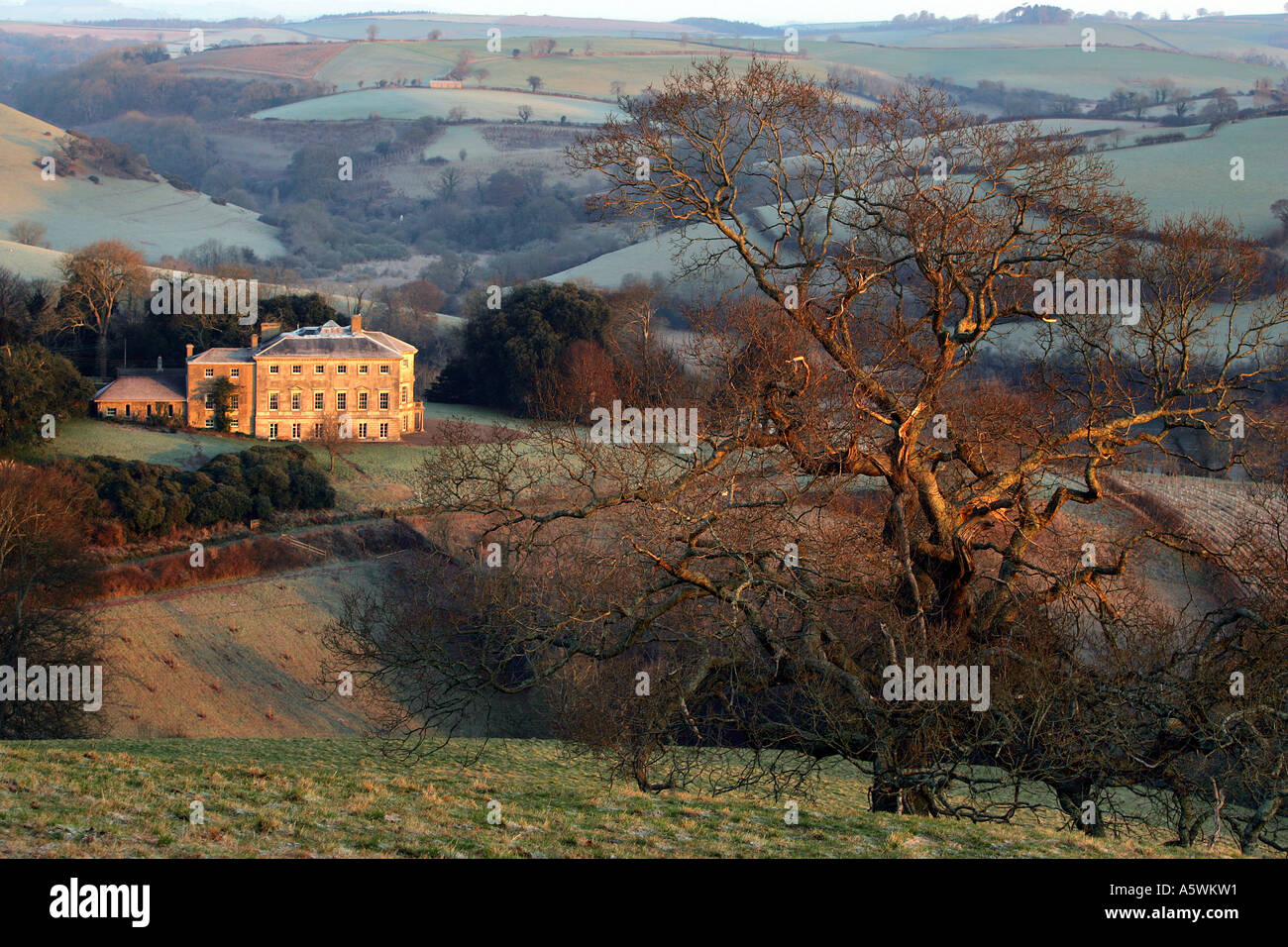 Sharpham vineyard hi-res stock photography and images - Alamy