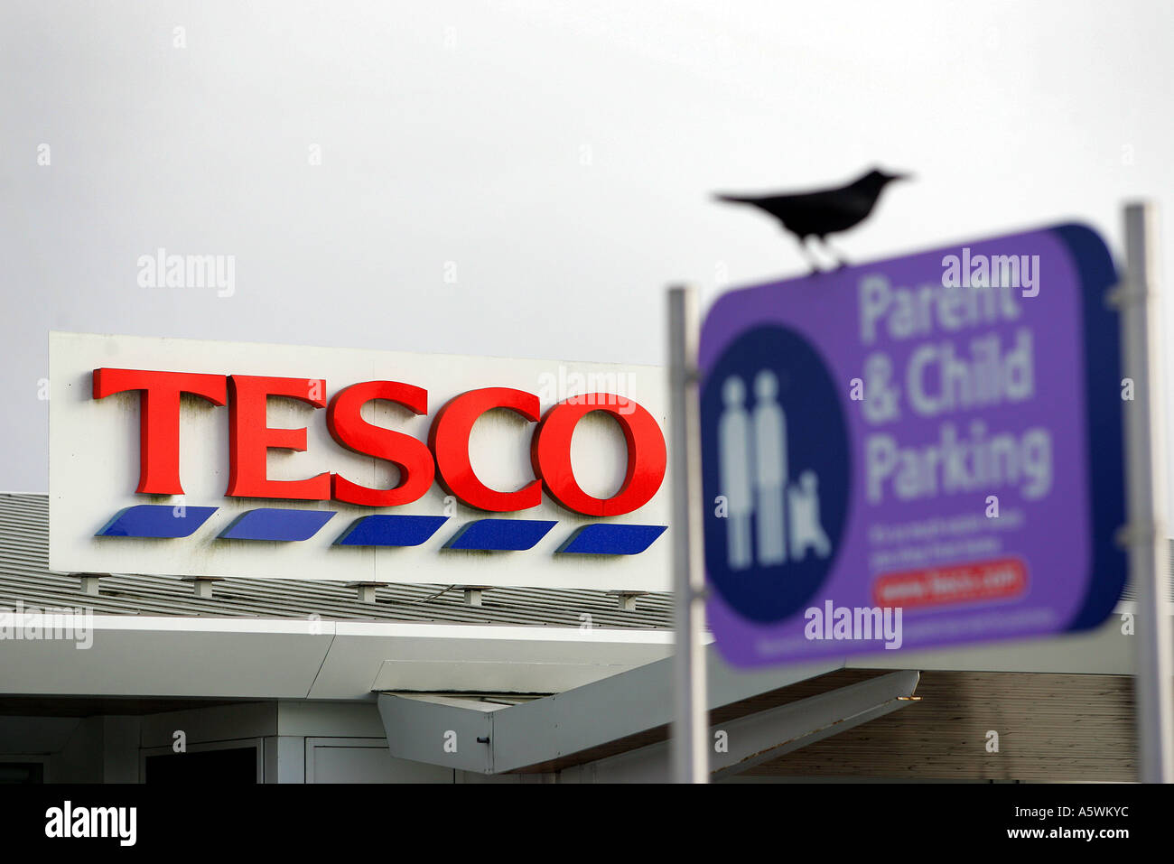 Launceston store hi-res stock photography and images - Alamy