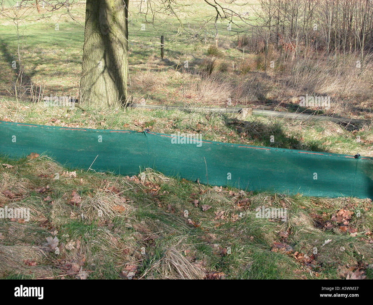 Toad fence hi-res stock photography and images - Alamy