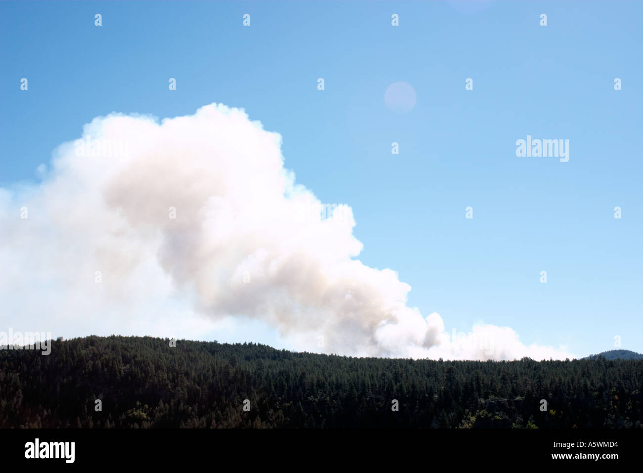 Arizona forest fire hi-res stock photography and images - Alamy
