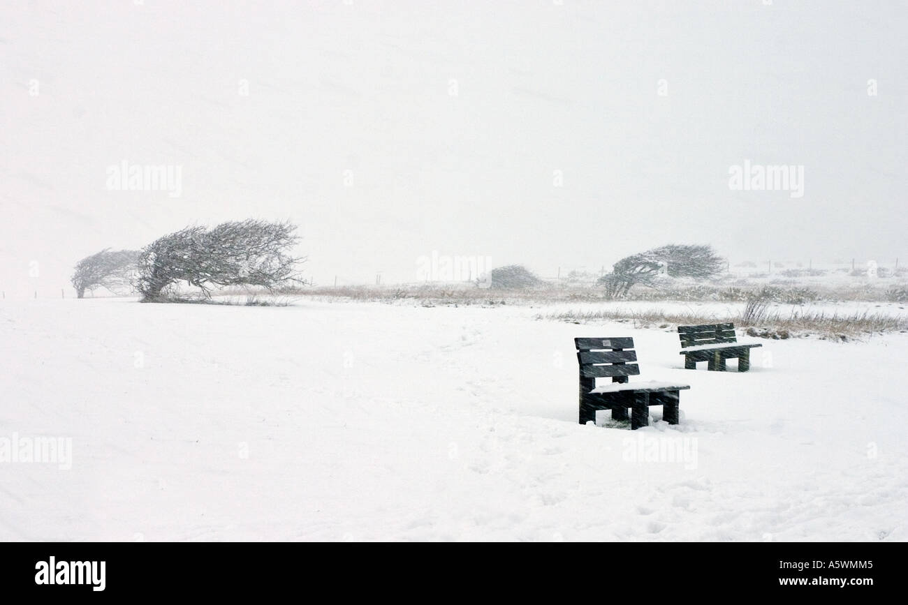 Heavy snow fall during hi-res stock photography and images - Alamy