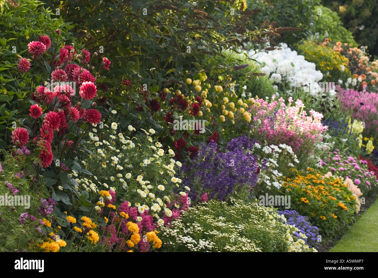 Well stocked mixed flower border alongside a grassy pathway Stock Photo ...