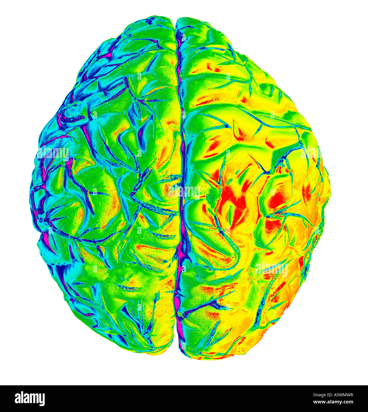 Human Brain silhouette Stock Photo - Alamy