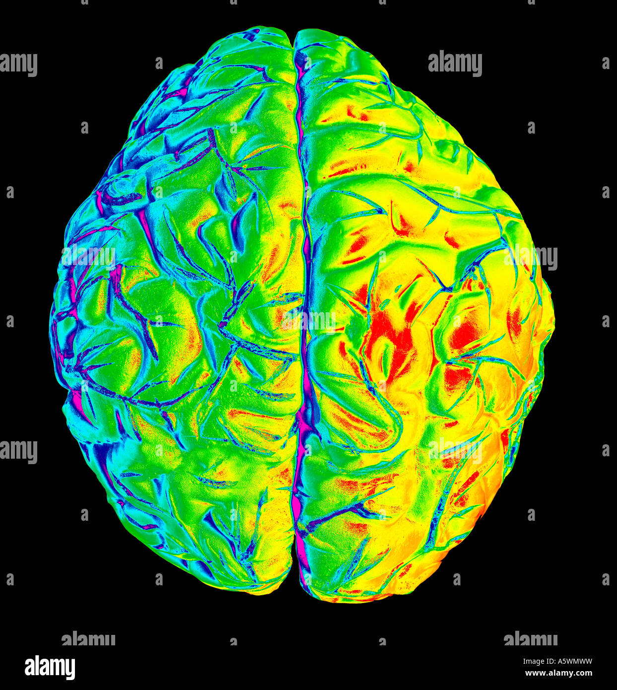 Human Brain silhouette Stock Photo - Alamy