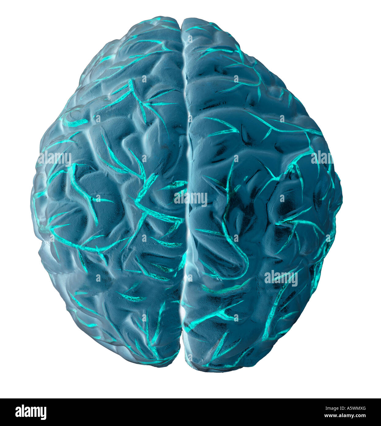 Human Brain silhouette Stock Photo - Alamy