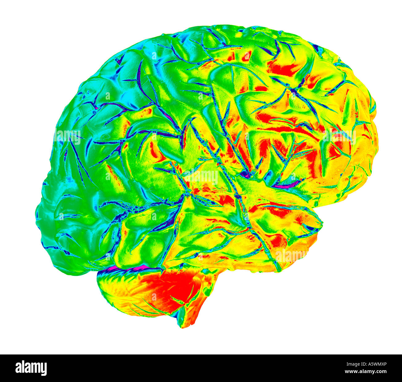 Human Brain silhouette Stock Photo - Alamy