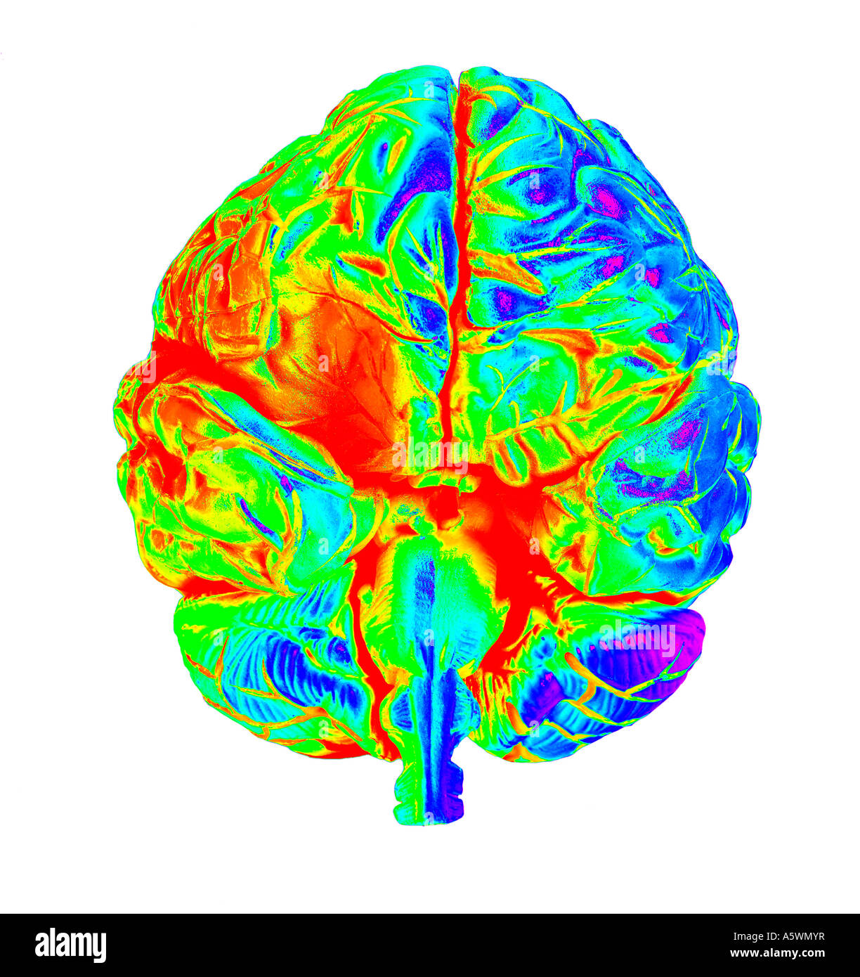 Human Brain silhouette Stock Photo - Alamy