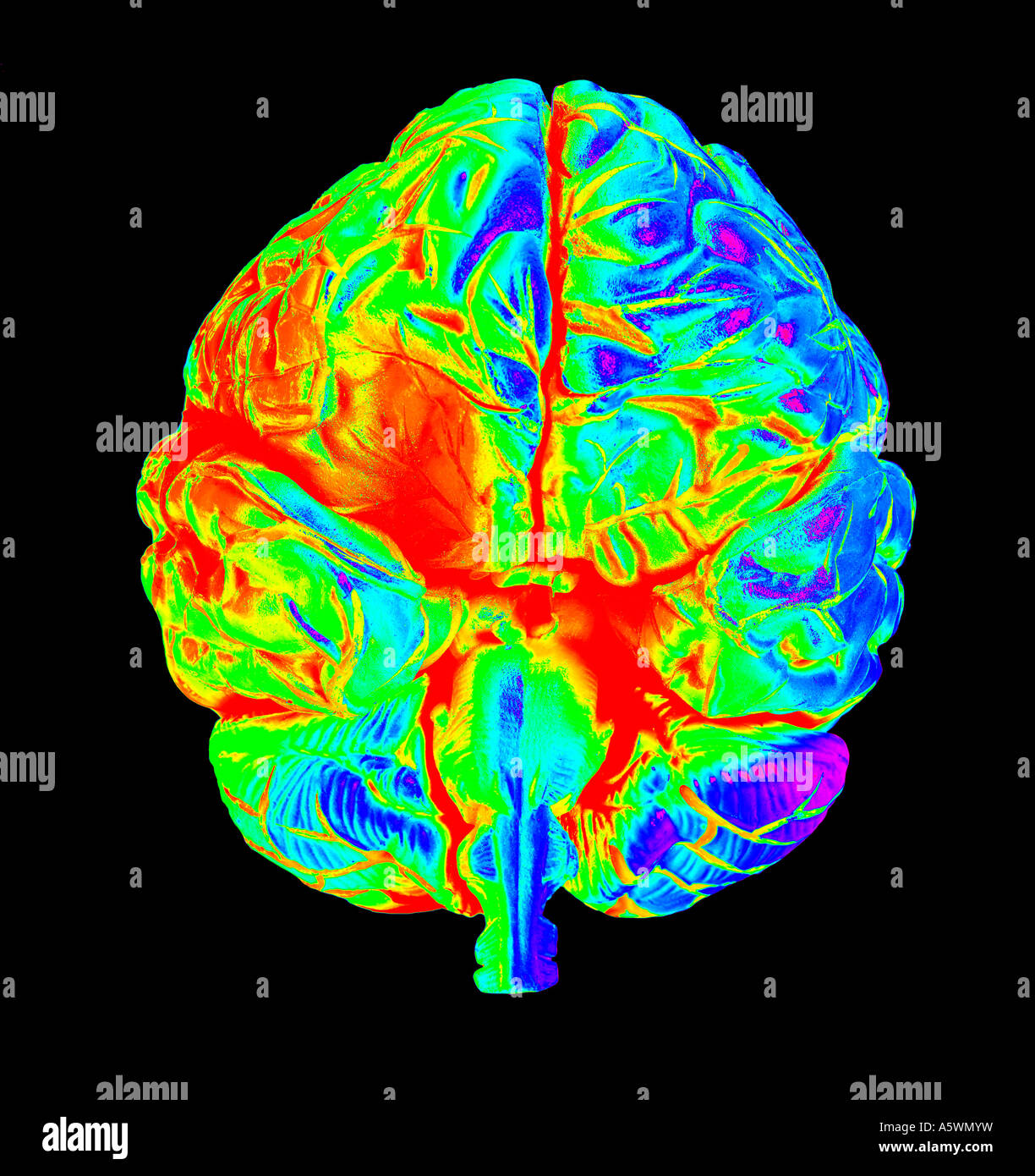 Human Brain silhouette Stock Photo - Alamy
