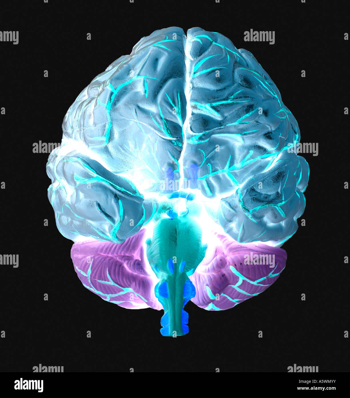 Human Brain silhouette Stock Photo - Alamy