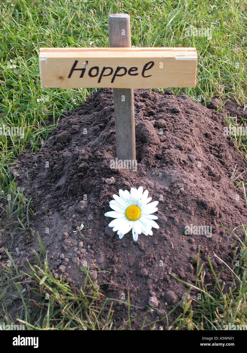 animal grave funeral Stock Photo - Alamy